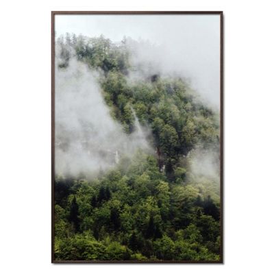 Bilder NATUR | SCHÖNER WOHNEN Kollektion